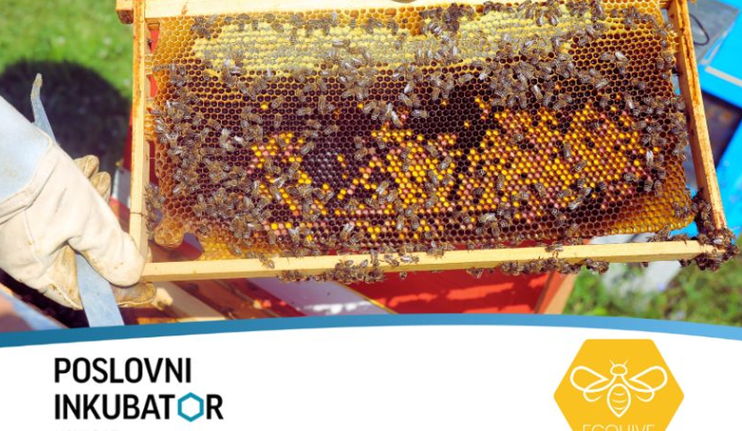 Привредна комора Србије/Eco Hive: Српски стартап постигао велики успех ...