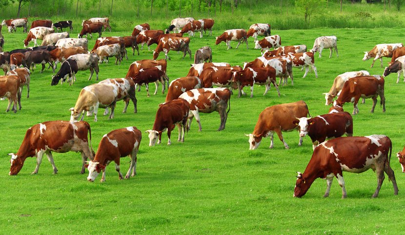 Привредна комора Србије/Расписан јавни позив за субвенције за ...